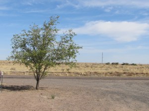 Sun Valley RV Park – Relax, Explore, and Stay at Sun Valley RV Park ...